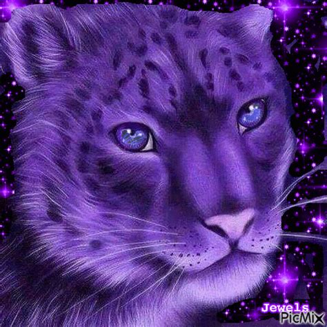 Purple Tiger Beautiful