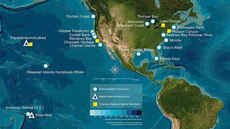 National Marine Sanctuaries Celebrate 50 Years Of Ocean Conservation