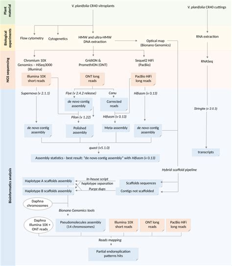 genome assembly vanilla genome hub