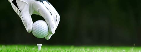 Bdraddy Discounts And Cash Back For Everyone Idme Shop