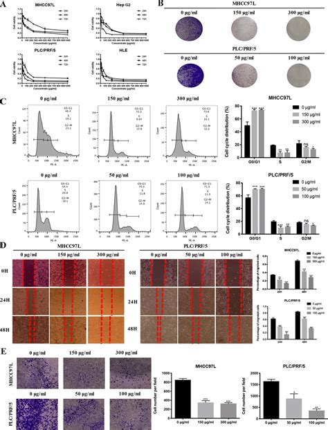 Zjp Inhibited Hcc Cell Growth In Vitro A Time And Dose Dependent