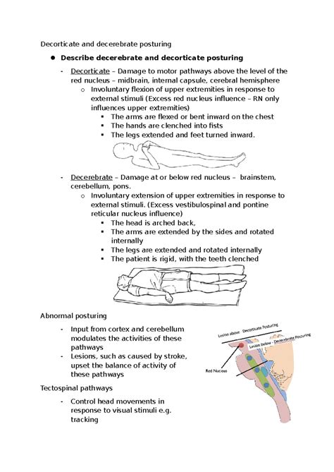 C20 Decorticate And Decerebrate Posturing Decorticate And Decerebrate