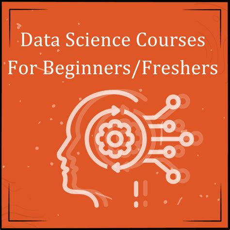 Python Data Science Courses Libraries Career