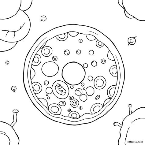 Coloriage Cellule Humaine Réponses
