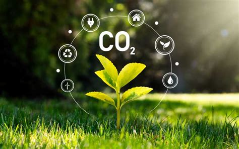 Carbon Offsetting And Sustainability Acc Aviation