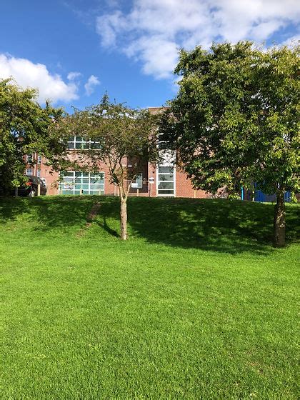 Community Association Patcham Cc