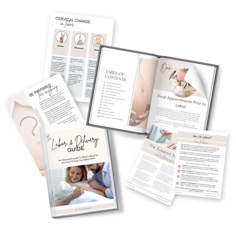The Pregnancy Guide A Life In Labor