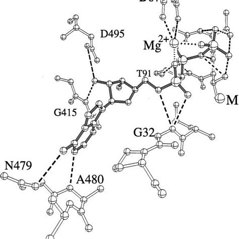 Skeletal Representations Of The Nucleotide Binding Sites The View Is