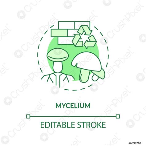 Mycelium Green Concept Icon Stock Vector 6098760 Crushpixel