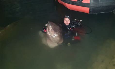 Andrej A Gajić On Linkedin Warnerbros Discovery Explorersclub Deepsea Mediterranean Research