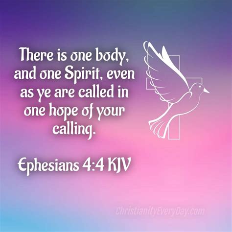 Romans 1617 27 What Does The Bible Say About The Company We Keep