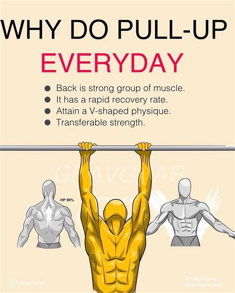 Why Do Pull Ups Everyday Gym Workout Tips Best Gym Workout Quick
