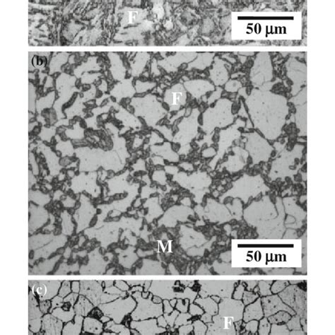 Optical Micrograph Of A C Corresponds To The Ferrite Martensite Dp