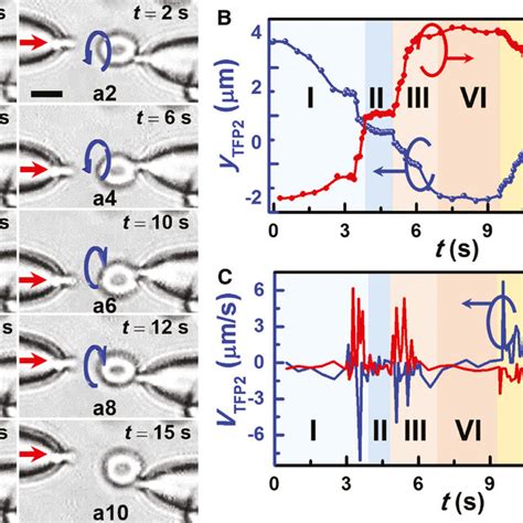 Rbc Rotation Around The Z Axis A Schematic Of Rbc Rotation Around Download Scientific