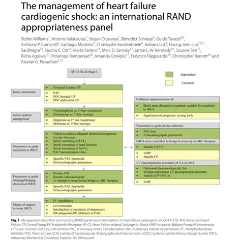 Pocus Criticalcare Icu Chris N