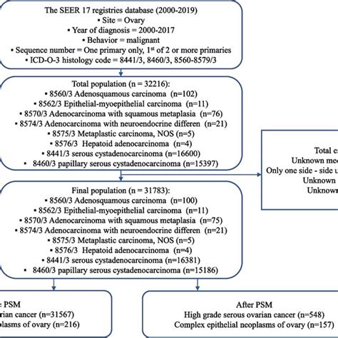 Schematic Illustration Of The Study Workflow Download Scientific Diagram