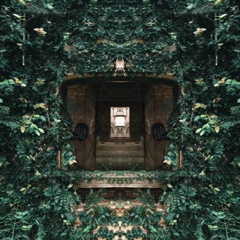 Premium Photo Ivy Growing On Abandoned House