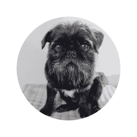 Über Uns Bernburg Erleben