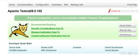 apache tomcat漏洞，对其进行升级 tomcat补丁升级 csdn博客