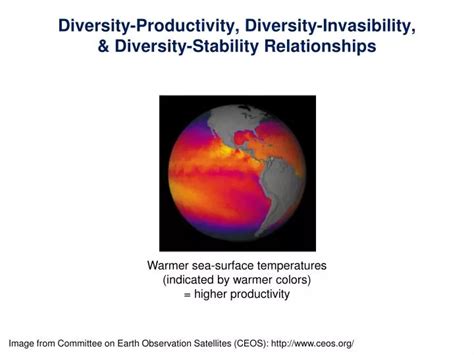 Ppt Diversity Productivity Diversity Invasibility And Diversity