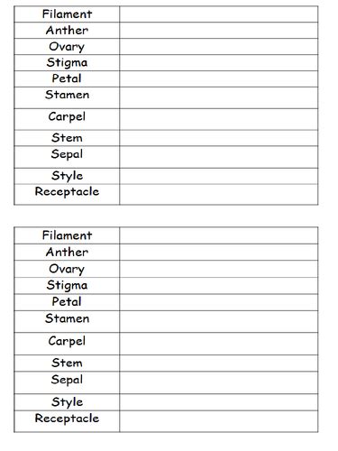 Ks3 Biology Flowers And Pollination Lesson Presentation And Resources