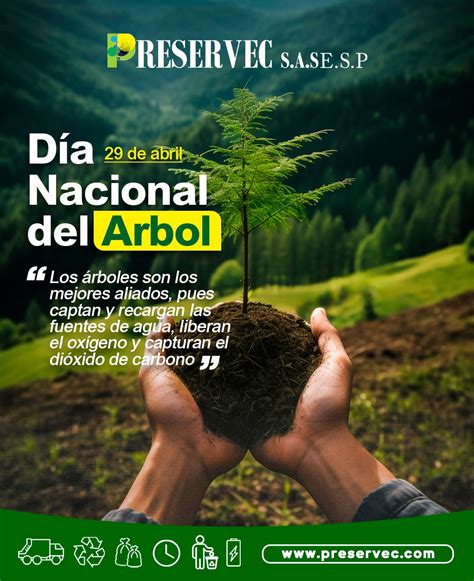 Preservec El Día Del Árbol Se Celebra En Colombia El
