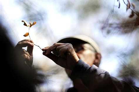 Walk With One Of L A S Top Foragers As He Picks His Meal On The