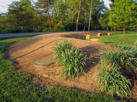 11 Septic Mound Landscaping Ideas Septic Mound Landscaping Backyard