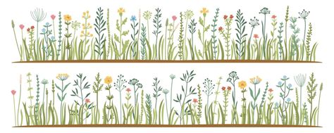 Wild Grass Vector Art Icons And Graphics For Free Download