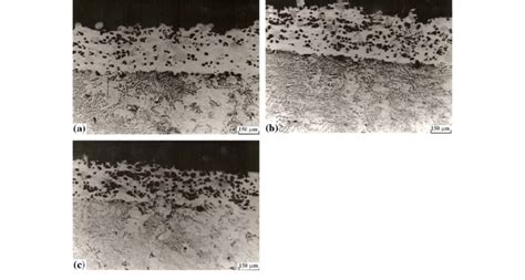 Cross Sectional Microstructures Of The Plasma Sprayed Al Sisic Download Scientific Diagram