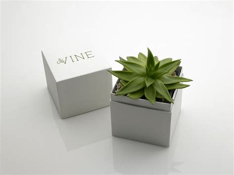 Box Of The Month Modular And Sustainable Rigid Box For The Vine Taylor Box Packaging Design