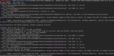 invalidargumenterror see above for traceback assign requires shapes