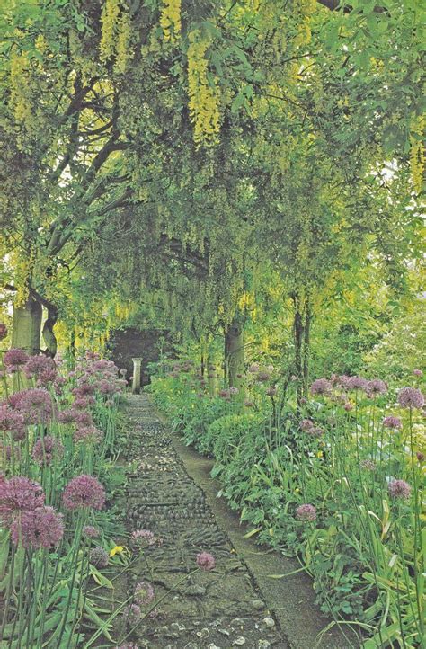 Proportion Of Trees In The Landscape Design Forum