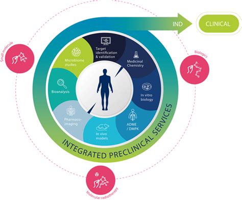 Preclinical Cro Services 👨‍🔬 Oncodesign Services