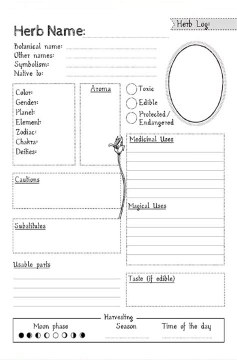 Herbs Journal Page Herb Templateprintable Herbs Herbology Printable