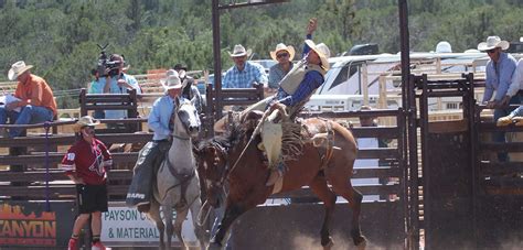 Payson Pro Rodeo Day Sheet Payson Arizona