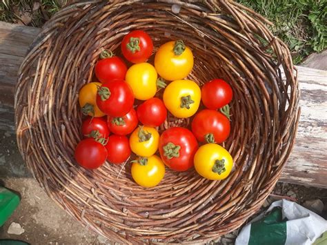 Aimee Aimee Ormesher Personal Trainer And Online Coach