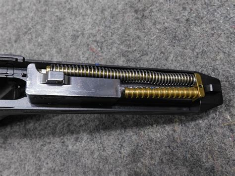 Armeria Frigerio Laugo Alien