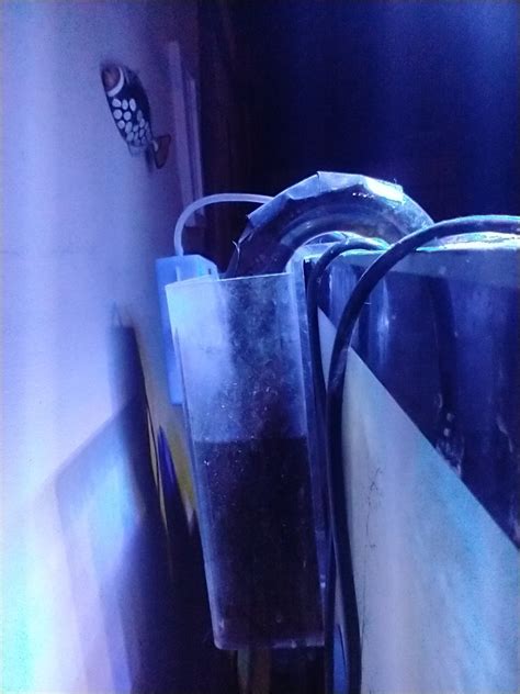 Question About Hob Overflow Box Page 2 Reef2reef