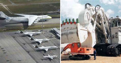 20 Normal Things Much Bigger Or Smaller Than Expected