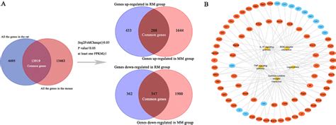 Common Gene And Pathway Analysis A Flowchart Of Screening Common Download Scientific Diagram