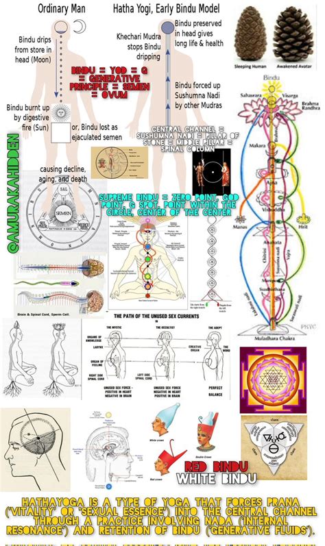 Sexual Alchemy The Lunar Influence The Term Sacred Secretion Is Commonly Used To Describe A