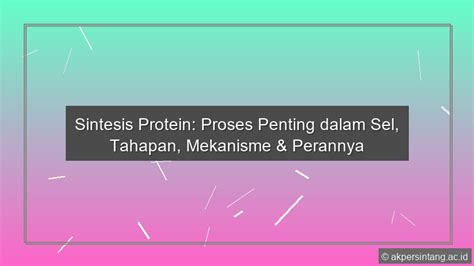 Sintesis Protein Proses Penting Dalam Sel Tahapan Mekanisme And Perannya
