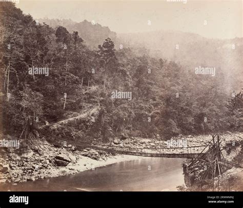 A Scene Showing A Bamboo Rope Bridge Over The Rangeet River Large