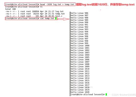 linux基本指令（下） csdn博客