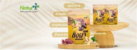 V Flow สมุนไพรล้างหลอดเลือด ขิง พุทราจีน เห็ดหูหนูดำ จากงานวิจัย Added