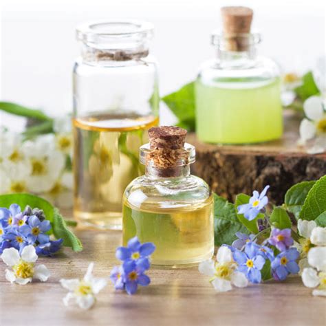 A Widows Sex Life Free Erotic Stories Holistic Wisdom