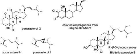 Some Steroidal Halohydrin Natural Products Download Scientific Diagram