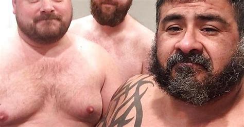 3 Bears Album On Imgur