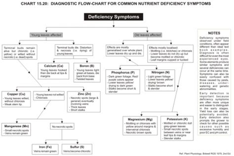 Nutrient Deficiencies Grow Abundant Gardens
